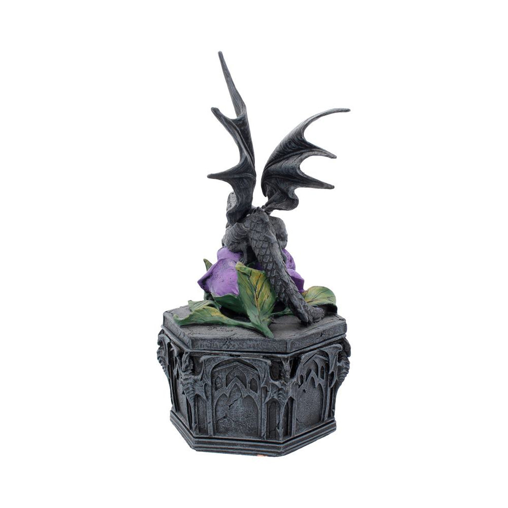 Dragon Beauty Box Anne Stokes 25cm – Dragon Zone Australia